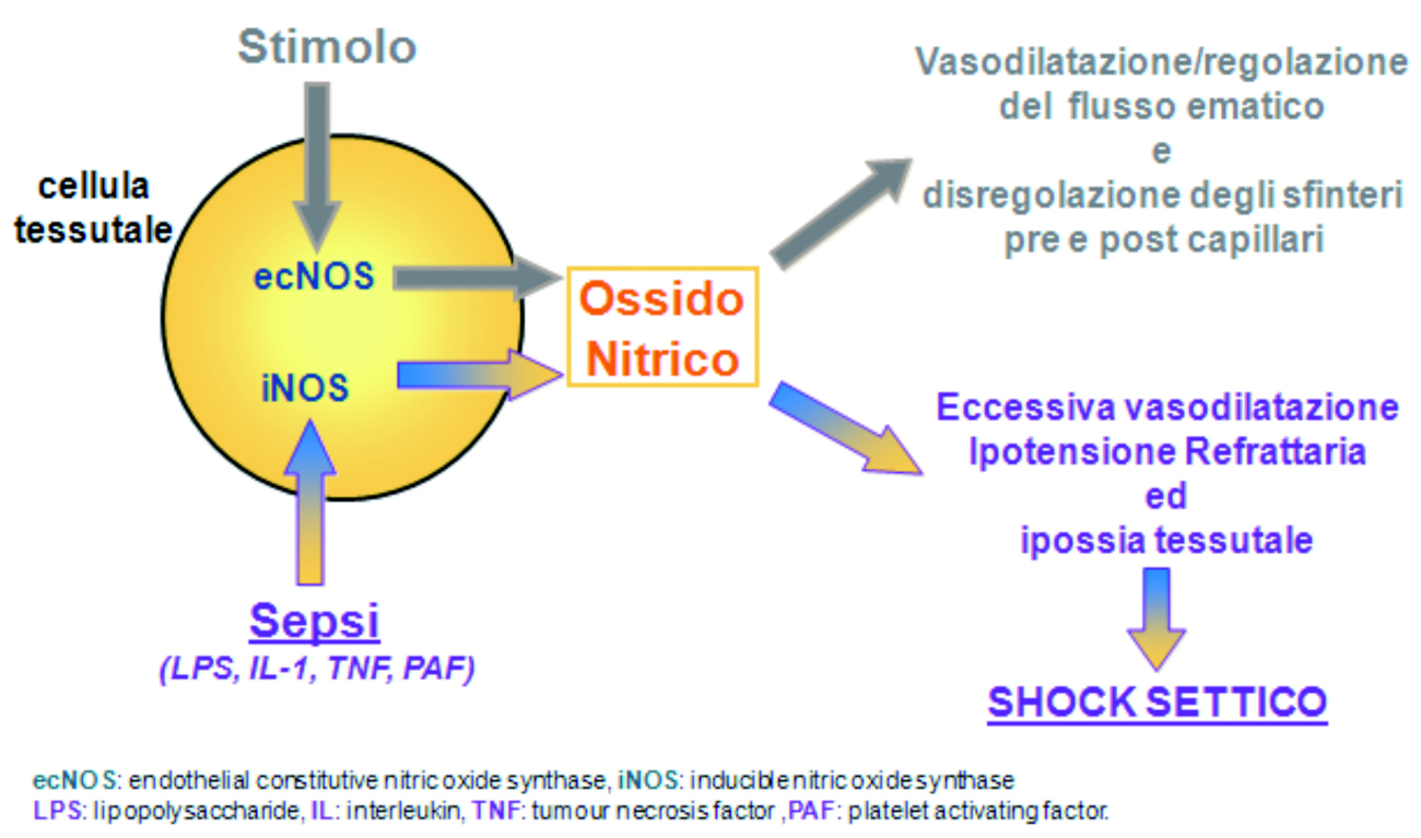 Sepsis in Emergency Department: review – itjem