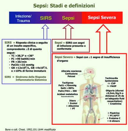Sepsis in Emergency Department: review – itjem