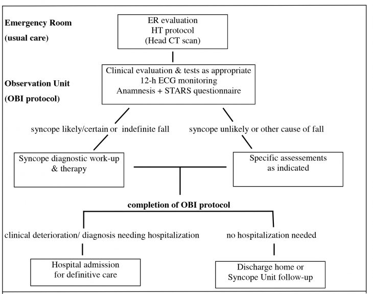 Syncope and head trauma in elderly: a pilot study – itjem
