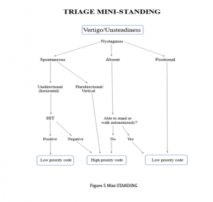 The standing algorithm and triage application in ed: a new approach to ...