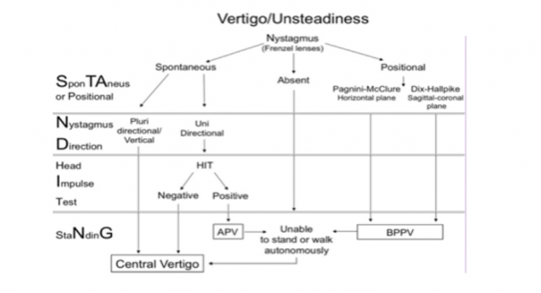The standing algorithm and triage application in ed: a new approach to ...